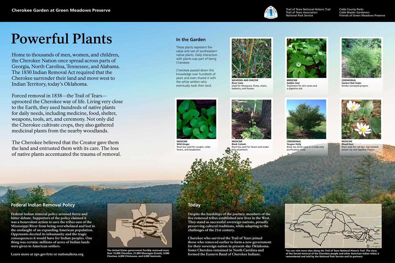 Gun Care : Master the Art of Weapon Preservation - Gun Gleam